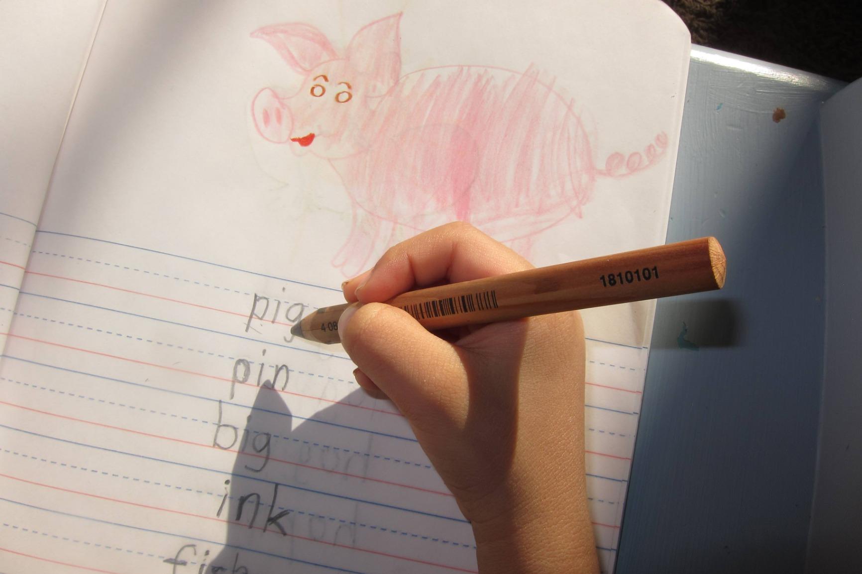 $2/mo - Finance Lyra Ferby Short Tri grip Triangular Children ...