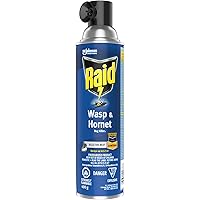 Raid Flying Insect Killer, Kills Flies, Mosquitoes, and Other Flying ...
