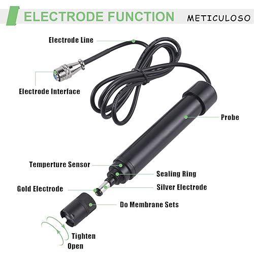 Meticuloso