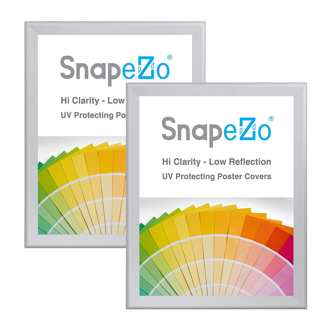 SnapeZo 2-Pack 36x48 Inches Silver Poster Frames, Front-Loading Snap Frame, 1.7" Aluminum ...