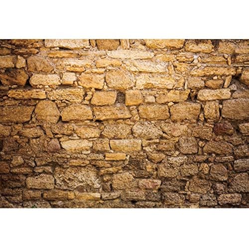 CSFOTO 12x8ft Western Wall Backdrop Ancient Jerusalem Backdrop ...