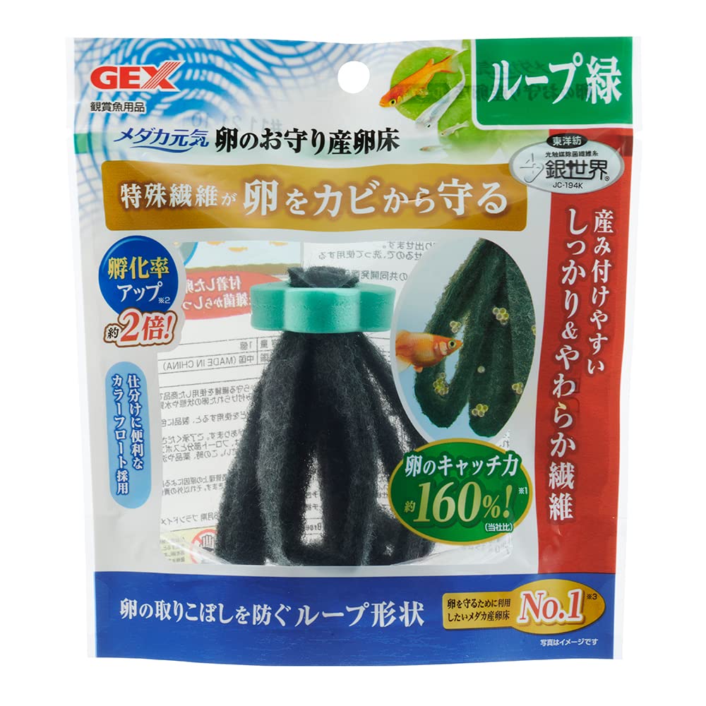 Mua Gex Medaka Genki Egg Amulet Laying Floor, Loop, Green trên Amazon ...