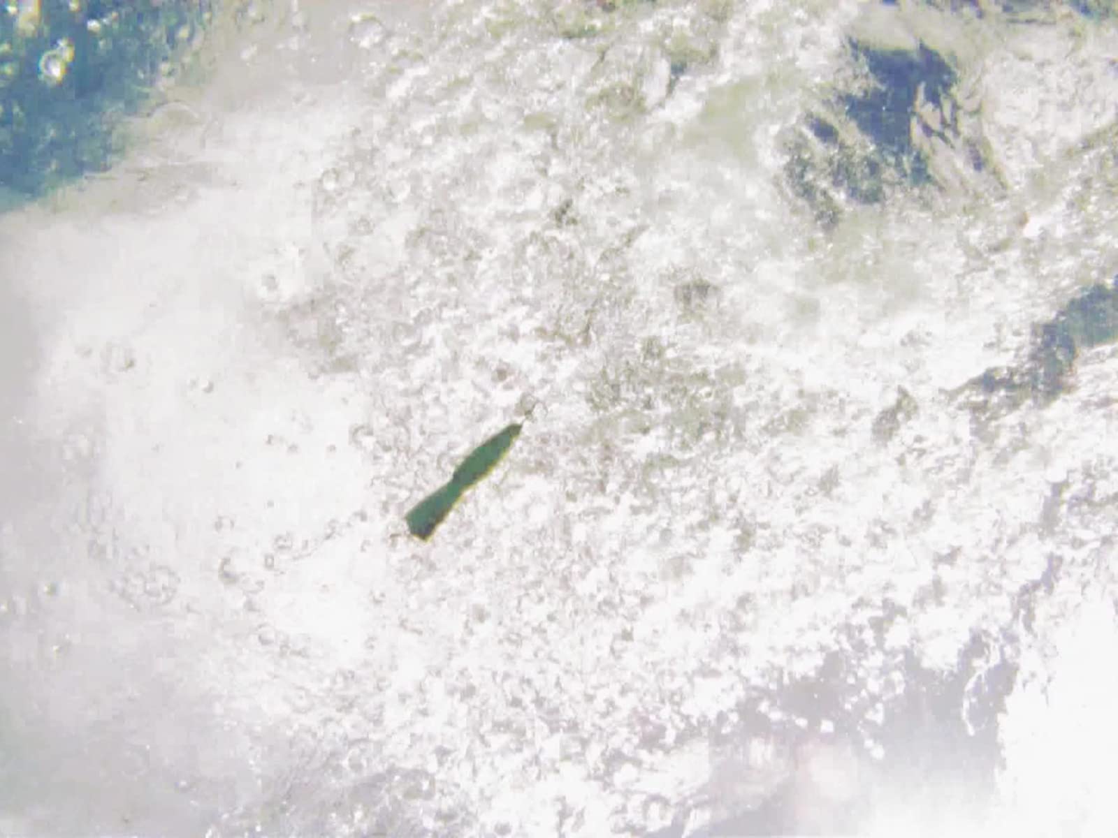 Watch Trev Gowdy's Monster Fish - Season 5 | Prime Video