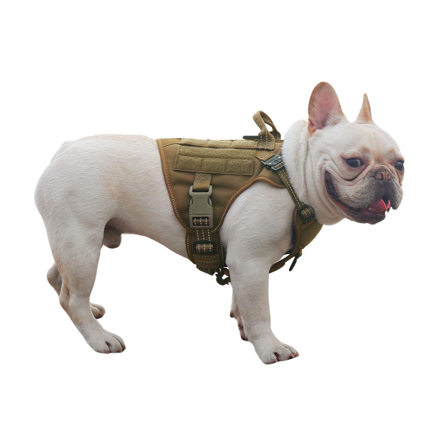 ICEFANG GN1 Reflective Tactical Dog Harness Small Sized, MOLLE K9 Dog ...