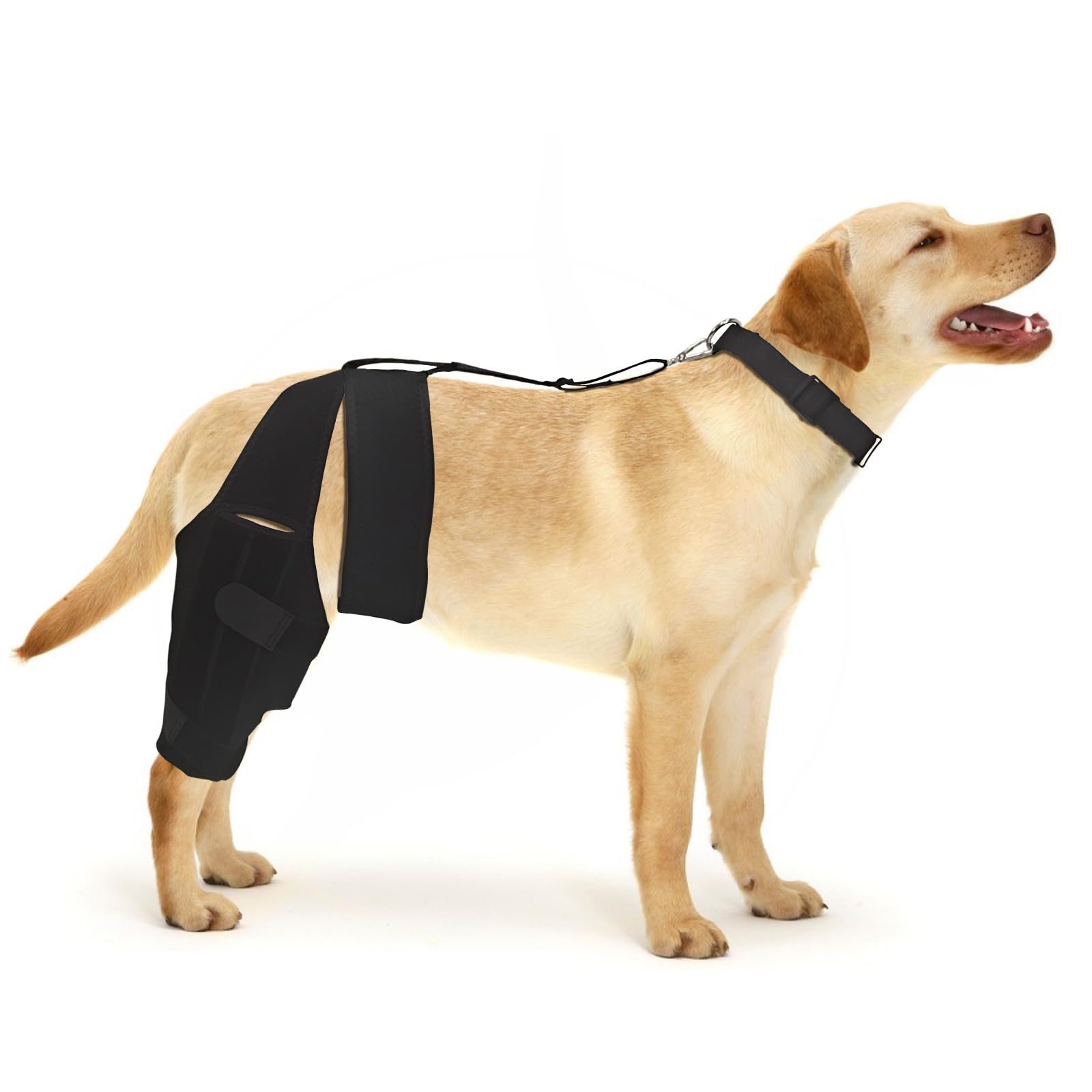 Dog Knee Brace with Side Stabilizers - Support for Dog ACL CCL Cruciate ...