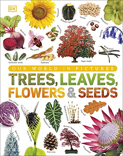 Trees, Leaves, Flowers and Seeds: A visual encyclopedia of the plant ...