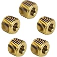 Amazon.com: 1/8" NPT Male Pipe Plug, Hex Socket Allen Head Countersunk ...