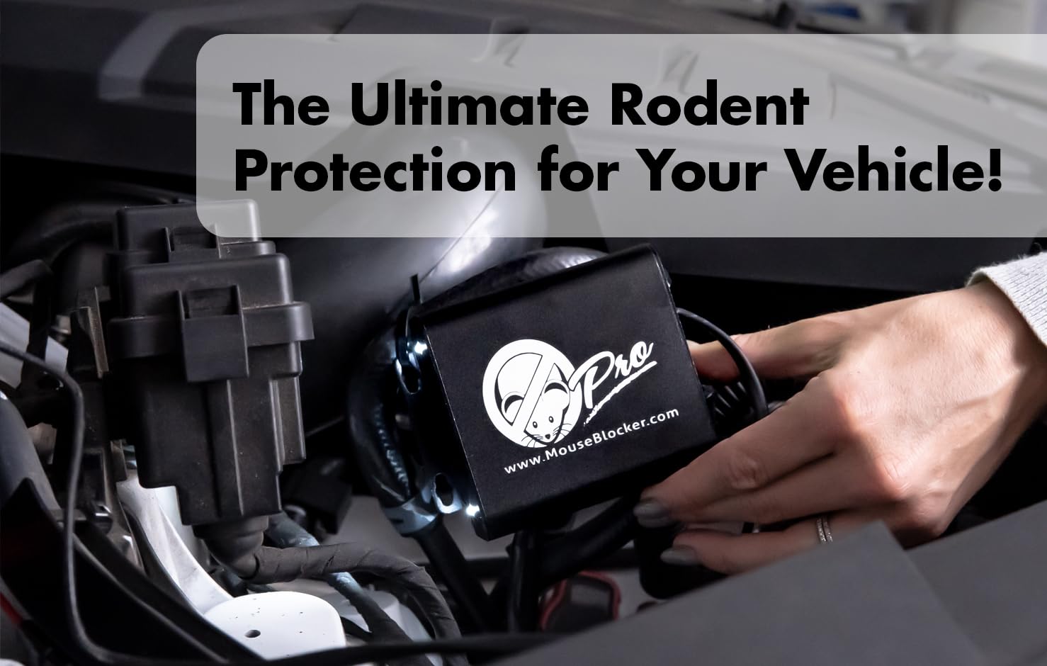 Mua Mouse Blocker Pro 12Volt High Powered Ultrasonic Mouse and Rodent ...