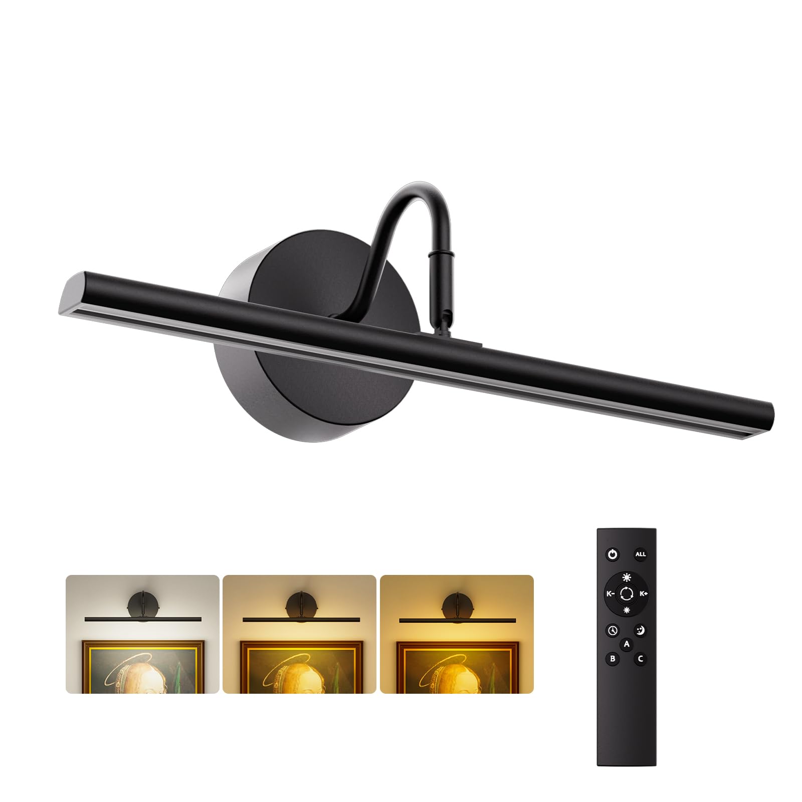 Denlead Picture Lights for Wall, 16.5" LED Wall Lights with Remote ...