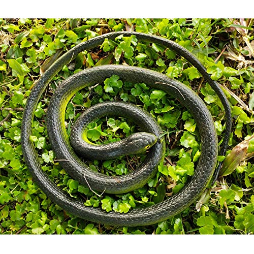 Wirrabilla 9 in 1 Rubber Snakes Looks Supper Real, Realistic Snakes ...