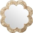 Amazon.com: KOUBOO 1040127 Flower Capiz Seashell Wall Mirror, Gold ...
