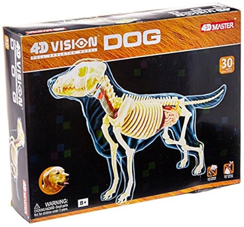 4D - Full Skeleton Dog Anatomy Model by FameMaster in Kenya | Whizz Science