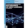 Mathematics of Deep Learning: An Introduction (De Gruyter Textbook): Leonid Berlyand, Pierre ...