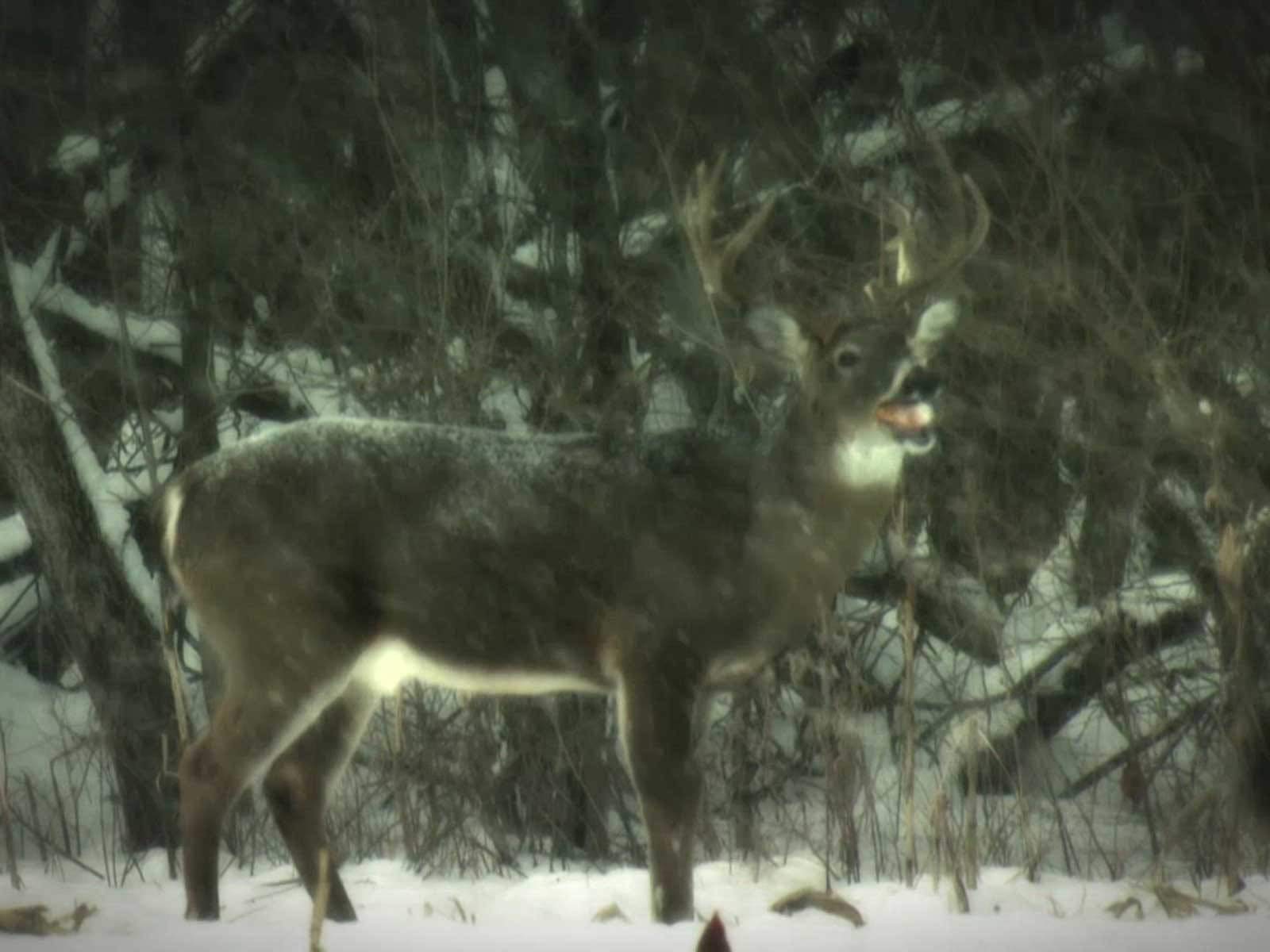 Watch Hunt Masters - Season 2 | Prime Video