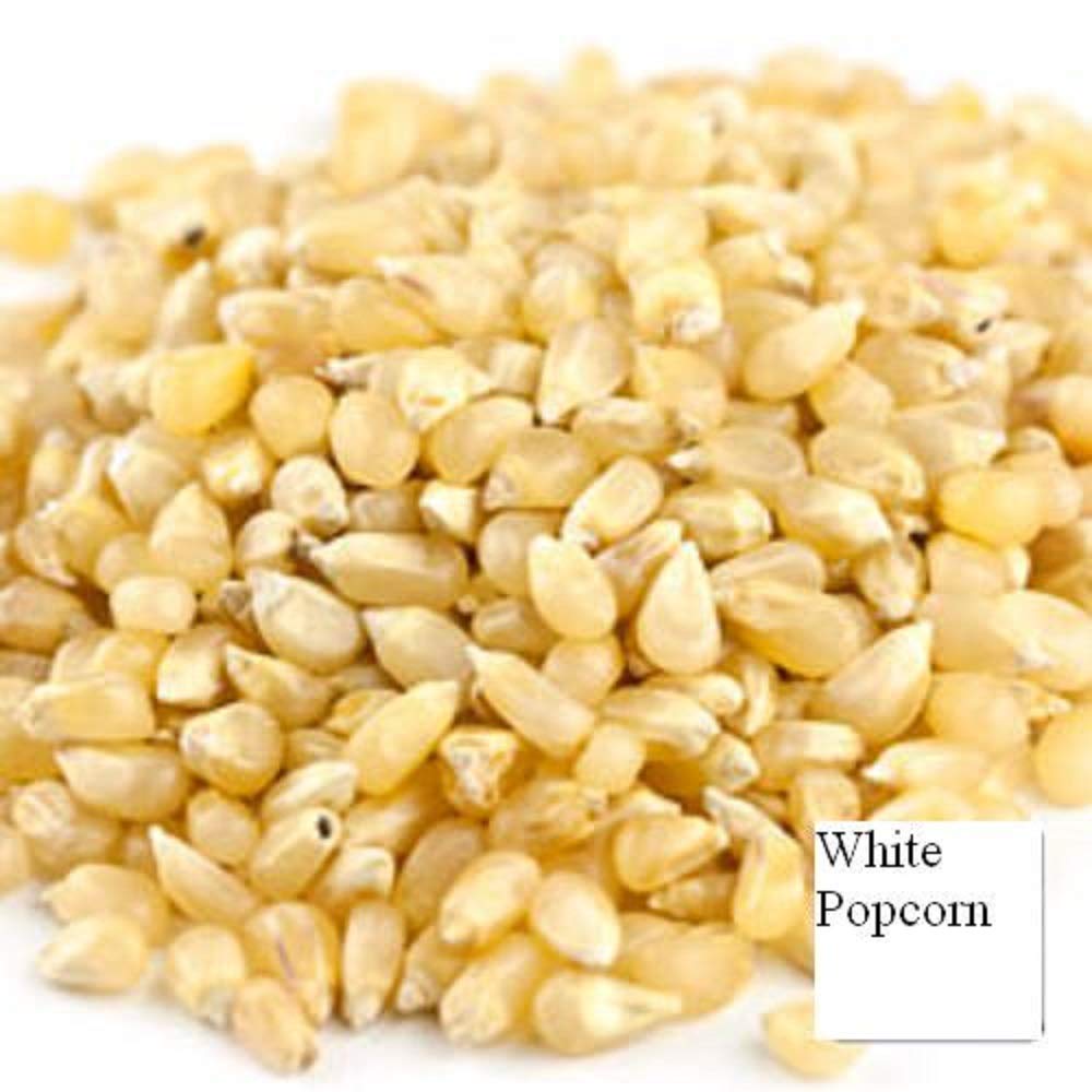 Amazon.com: Unpopped Popcorn Kernals (Baby White, 2 LB)