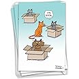 Amazon.com : NobleWorks Pack of 3 Funny Birthday Greeting Cards with ...
