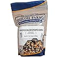 Amazon.com: Shiloh Farms Organic Multicolor Popcorn Kernels - 16 Ounce ...