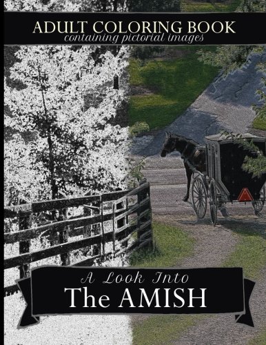 A Look Into The Amish - Adult Coloring Book: Publishing, Blessed ...