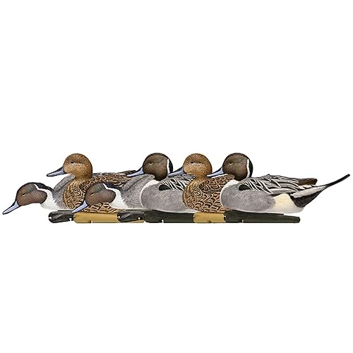 Avian X Topflight Pintail Decoys, Rugged Realistic Floating Duck Decoys ...