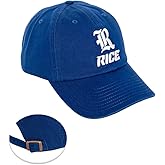 Amazon.com: Desert Cactus Brown University Baseball Hat Bears Brimmed ...