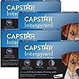 Amazon.com : 4 PACK CAPSTAR Blue for Dogs o2-25 lbs(24 tablets) : Pet ...