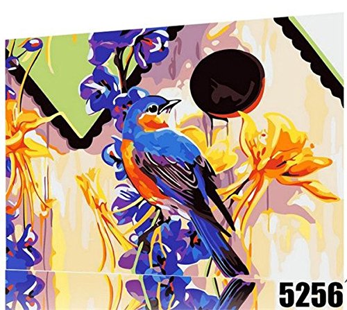 Bird Paint By Number Kits • Paint By Number For Adults