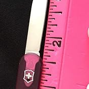 Amazon.com: Swiss Army SwissCard Translucent Pink: Sports & Outdoors