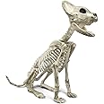 Amazon.com: Supremask Skeleton Cat, Plastic Crouching and Sitting Cat ...