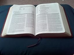 NLT Parallel Study Bible: Tyndale: 9781414339252: Amazon.com: Books