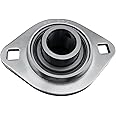 Flange Mounted Bearing SBPFL204 Unit - Pressed Steel Housing, Two Bolt ...