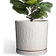 Amazon.com : Eightpot Ceramic Pots for Plants 12 Inch - Large Ceramic ...