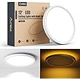 Amico 12 Inch LED Flush Mount Ceiling Light with Night Light, 24W ...