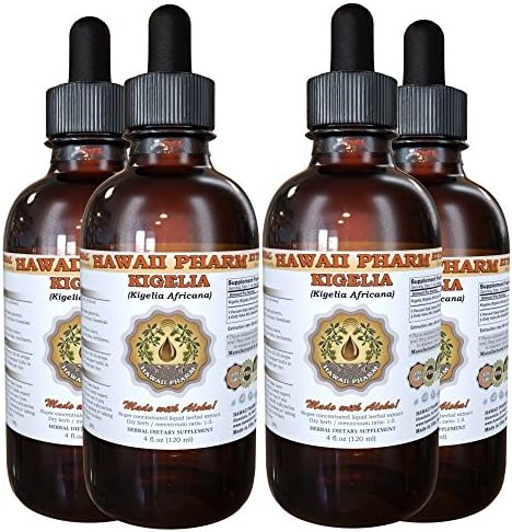 Kigelia Liquid Extract, Kigelia (Kigelia Africana) Dried Fruit Powder ...