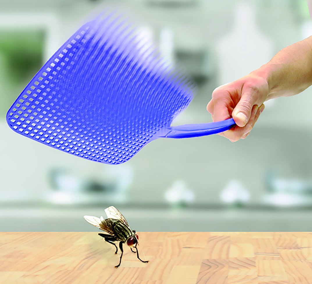 Watch Talking Fly Swatter on Amazon Live