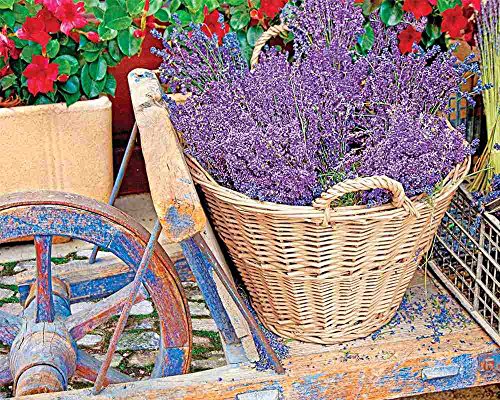 Spring Jigsaw Puzzles | Jigsaw Puzzles For Adults