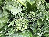 Broccoli rabe - How to grow & care
