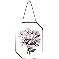Amazon.com - REDHUGO Pressed Flower Frames, Glass Floating Frames for ...