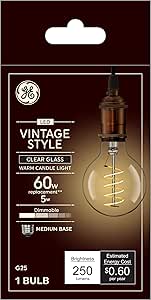 GE Vintage Style LED Globe Light Bulb, 5 Watt (60 Watt Equivalent) Warm ...