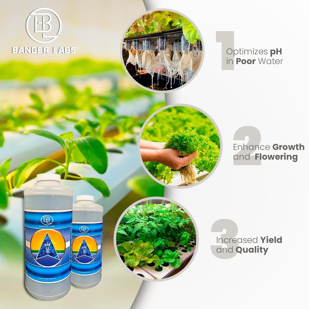 Mua Premium pH Up Solution - Corrects pH Imbalances, Maximizes Nutrient Absorption, Prevents ...