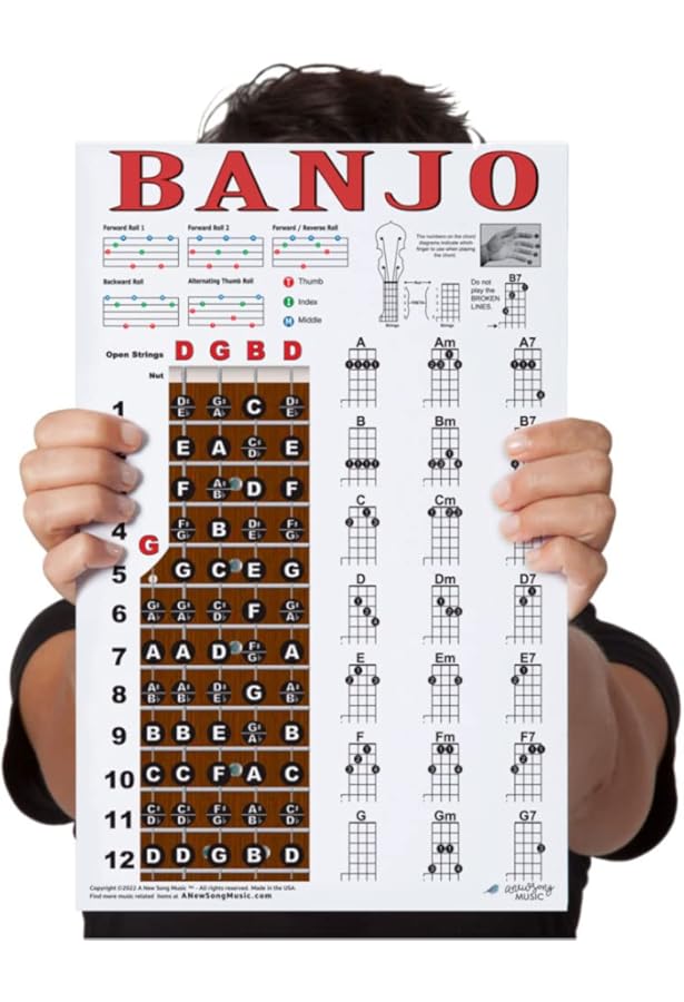 Banjo Chord Wall Chart Poster Fretboard Standard C Tuning String Chords ...