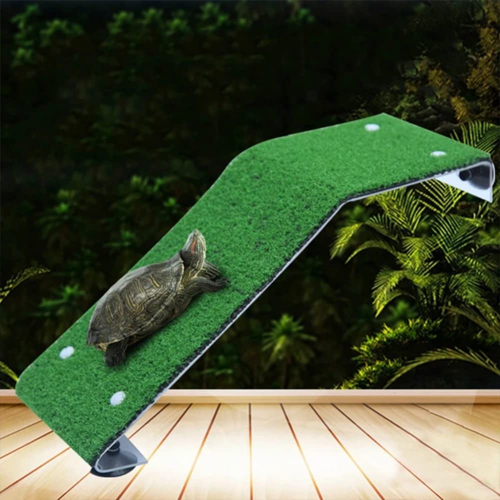 Mua Turtle Sun Baskake Stand, Turtle Ladder, For Amphibians, Reptiles ...