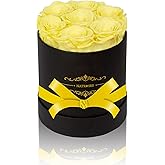 Amazon.com: LIZHUYA Preserved Rose in a Box Real Roses That Lasts for ...