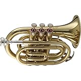 Amazon.com: EastRock Pocket Trumpet Brass Bb Gold Lacquer Mini Trumpet ...