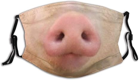 Amazon.com: Face Mask for Kids- Cartoon Pig Nose Mask Reusable Washable ...