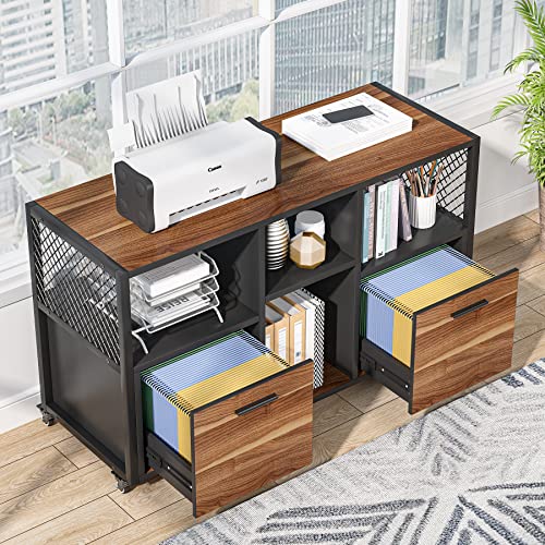 Tribesigns 2 Drawer Wood File Cabinets, Modern Mobile Lateral Filing Cabinet for Letter/ A4 Size ...
