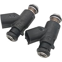 Amazon.com: GERMBAN 27709-06A 2pcs Set Fuel Injector 6 Holes ...