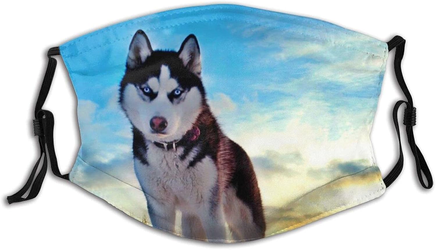 Standing Husky, Face Mask with Filter Pocket Washable Face Balaclava ...