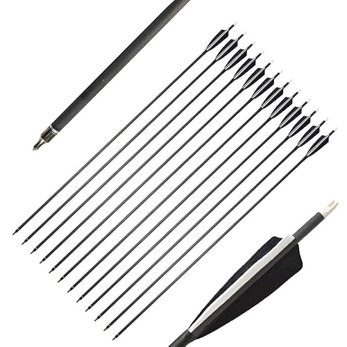 SHARROW 12 Pack 34" Archery Carbon Arrows Practice Hunting Arrows 500 ...