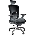 Amazon.com: GM Seating Ergolux Genuine Leather Executive Hi Swivel ...