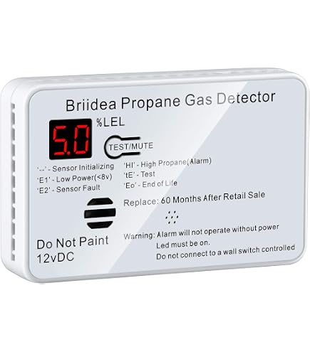 Rv Co2 And Lp Gas Detector 12v Direct Wire Safe-T-Alert 12V Propane Gas ...